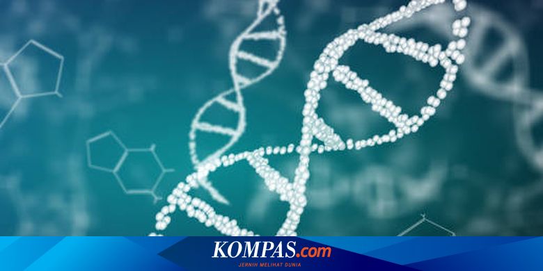 4 Faktor yang Dapat Menyebabkan Mutasi Genetik pada Manusia