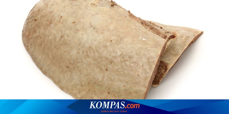 Berita Harian Hal Yang Harus Diperhatikan Sebelum Membeli Organ Dalam ...