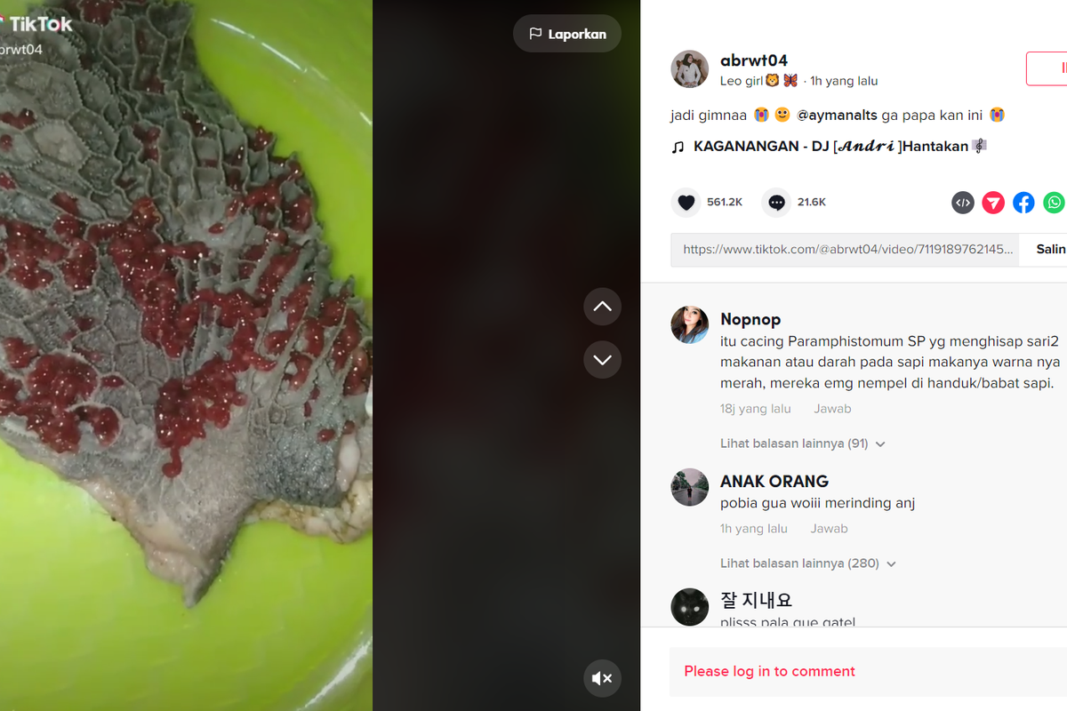 Viral, Video Cacing Berwarna Merah pada Babat Sapi, Ini Penjelasan Dokter