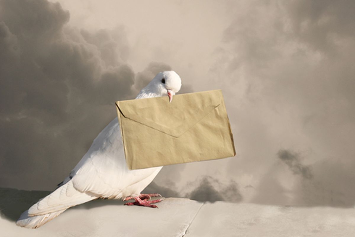 Burung Merpati Jadi Simbol Pengiriman Surat