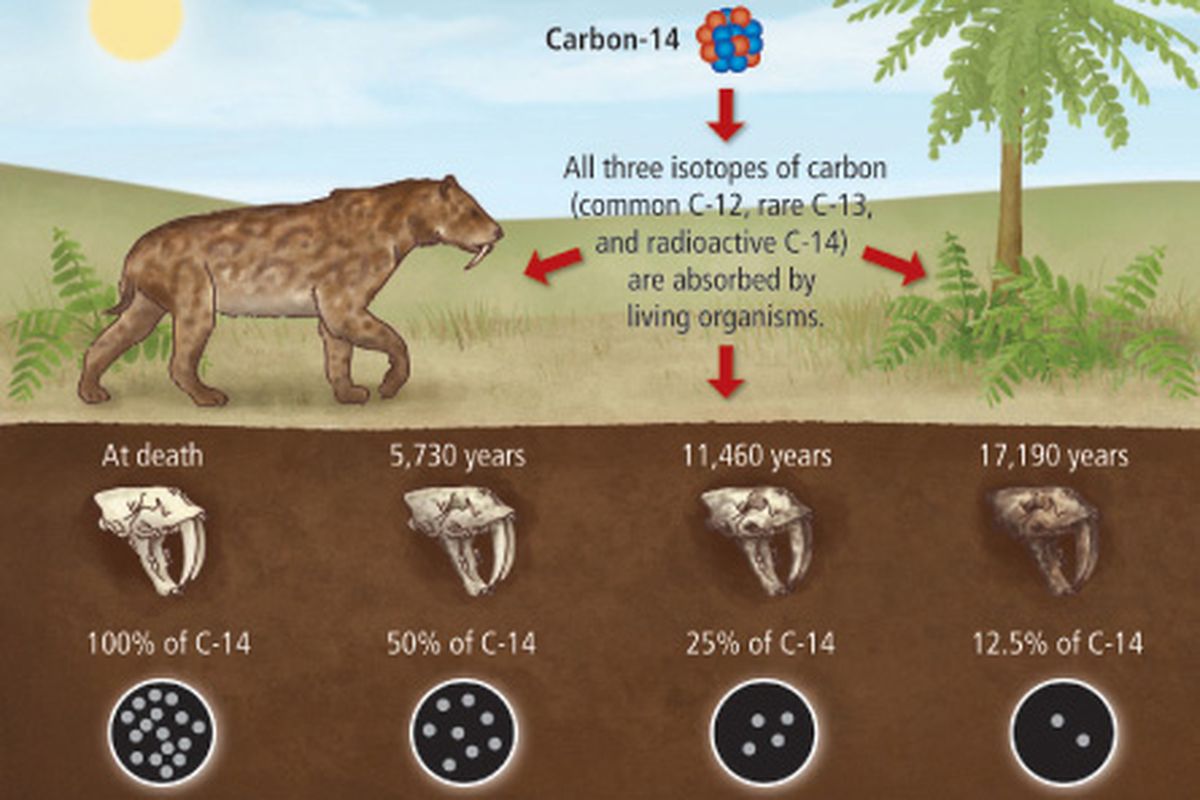 Menyelisik "Radiocarbon Dating"