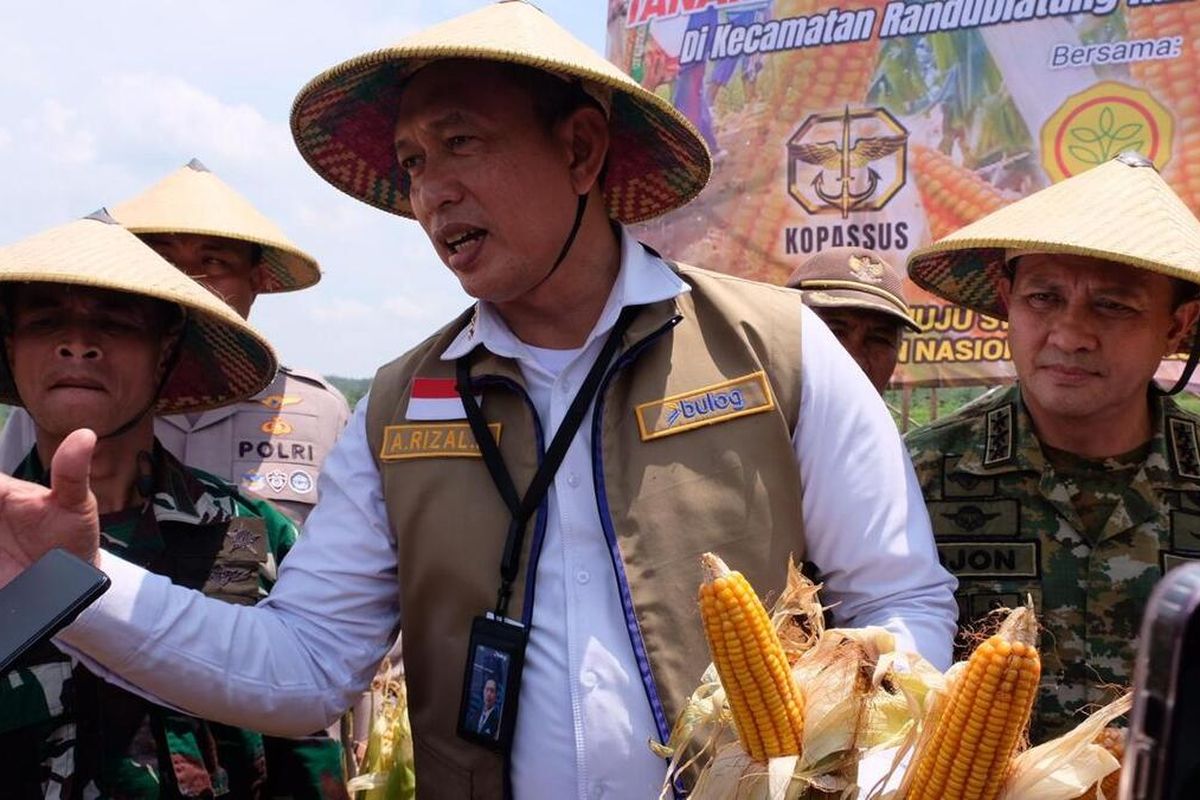 Respons Tuntutan Petani Tebu Blora, Bulog Siap Ganti Direksi Pabrik ...