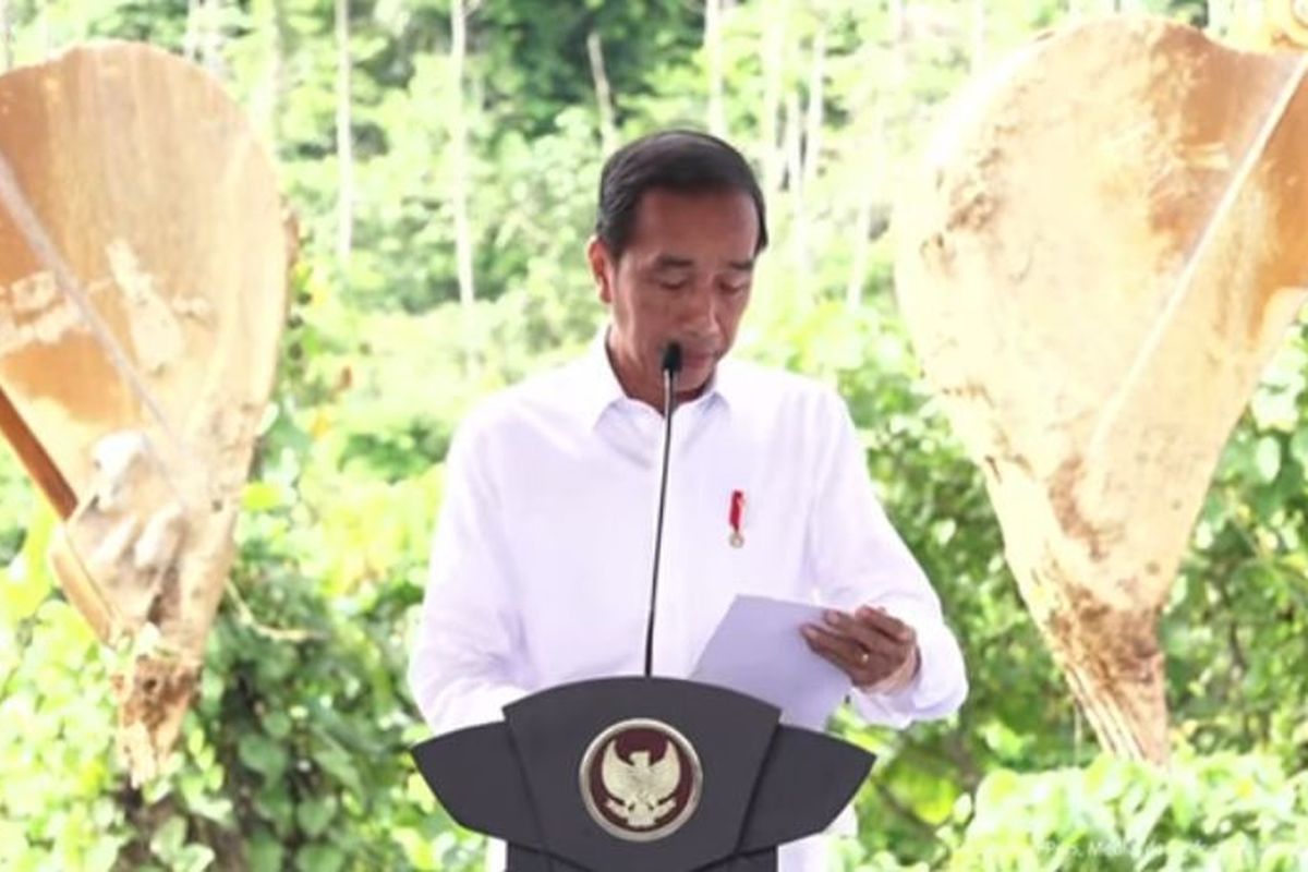 Jokowi Resmikan Pembangunan Kantor BTN di IKN