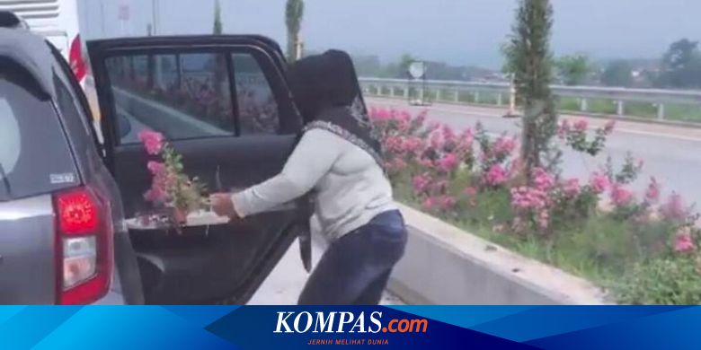 Viral Perempuan Cabut Bunga di Tol Singosari-Malang, Ini Kata Psikolog