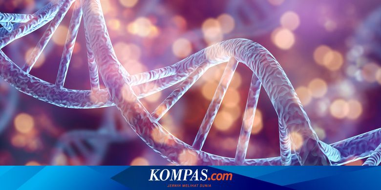 dna artinya