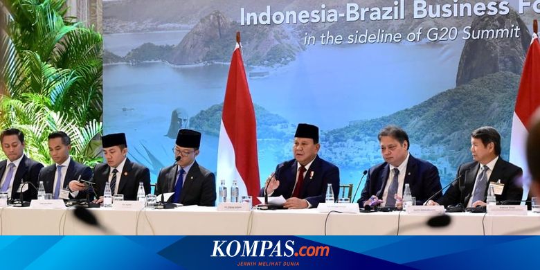 Indonesia-Brasil Rampungkan 5 MoU Bisnis Senilai 2,65 Miliar Dollar AS
