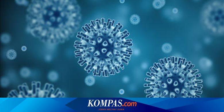 Muncul Virus B Mematikan di Hong Kong, Ini Gejala dan Penularannya