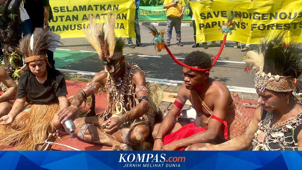 Mengenal Suku Awyu dan Moi, Sosok di Balik Seruan "All Eyes on Papua"