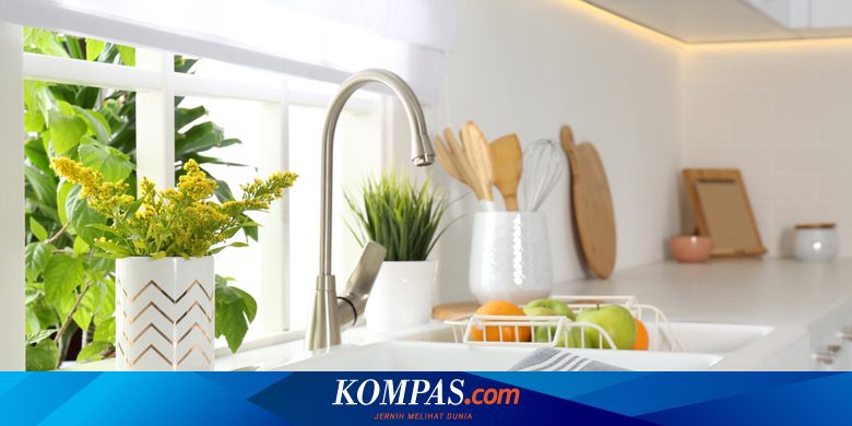 6 Tanaman Hias yang Tumbuh Subur di Dapur, Apa Saja?