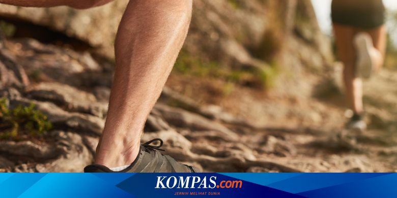 Pilihan Sepatu Trail Running untuk Segala Rintangan