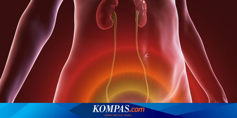 Penyakit Striktur Uretra - Gejala, Penyebab, Pengobatan - Kompas.com