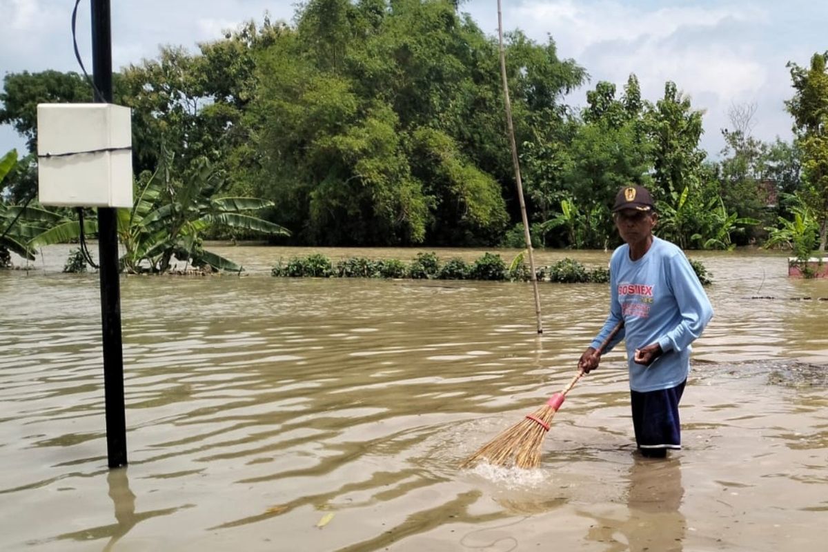 Puluhan Hektare Sawah Terendam Banjir, Petani di Sragen Terancam Gagal Panen