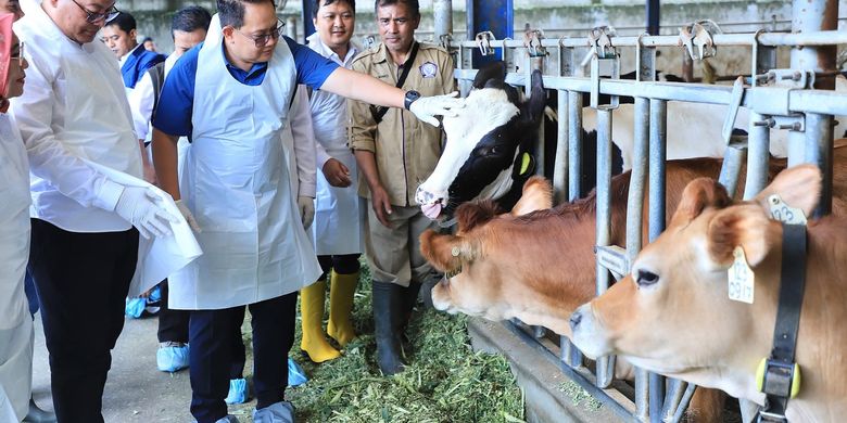 Berita Terkini Harian Sapi Terjangkit Pmk Di Jatim Terbaru Hari Ini ... Berita Terkini Harian Sapi Terjangkit Pmk Di Jatim Terbaru Hari Ini ...