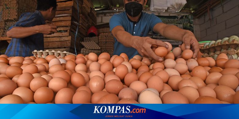 Disebut Tertinggi dalam Sejarah, Ini Harga Telur Ayam Ras di Berbagai ...