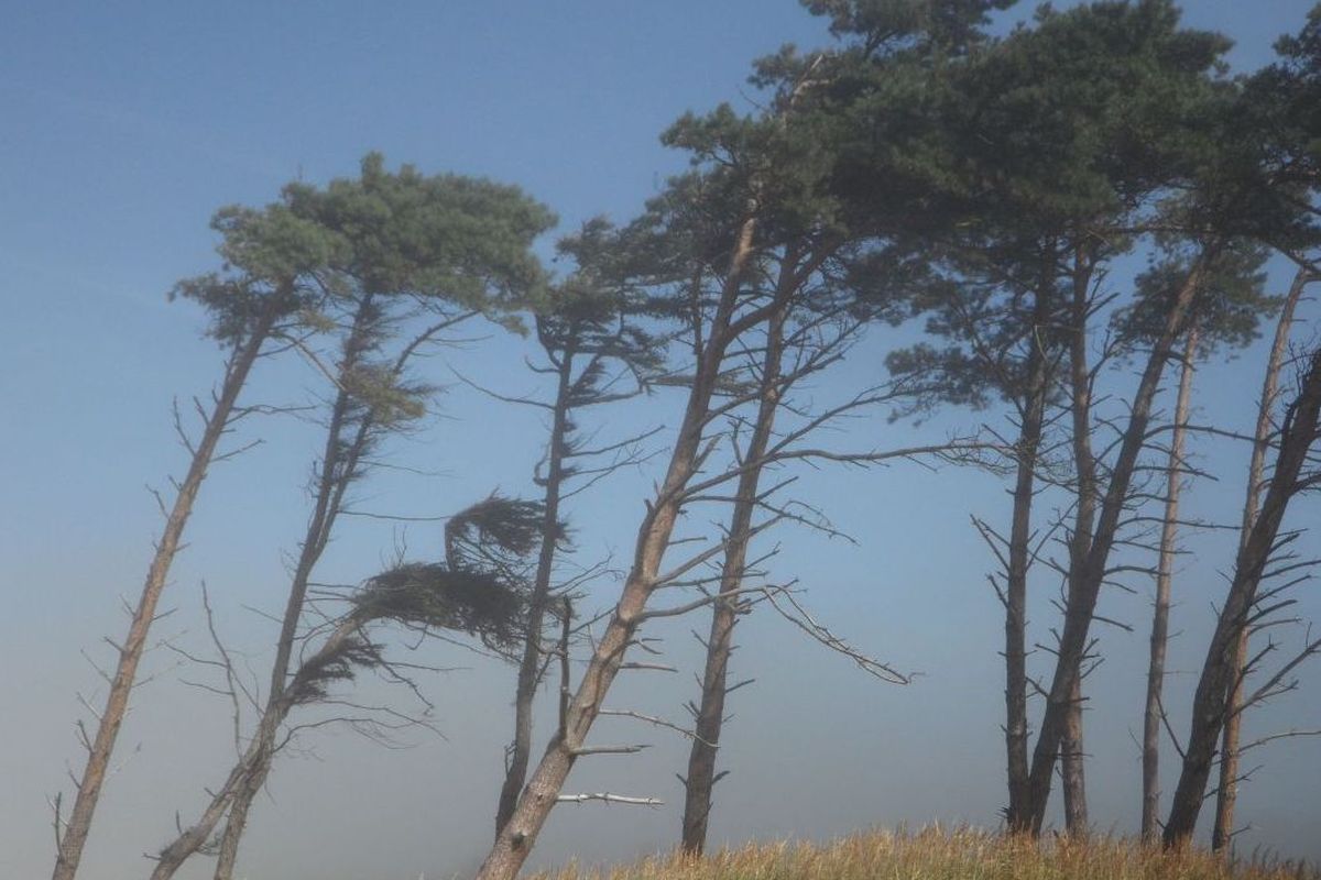 Mengenal Angin Siklon, Apa Penyebab dan Dampaknya?