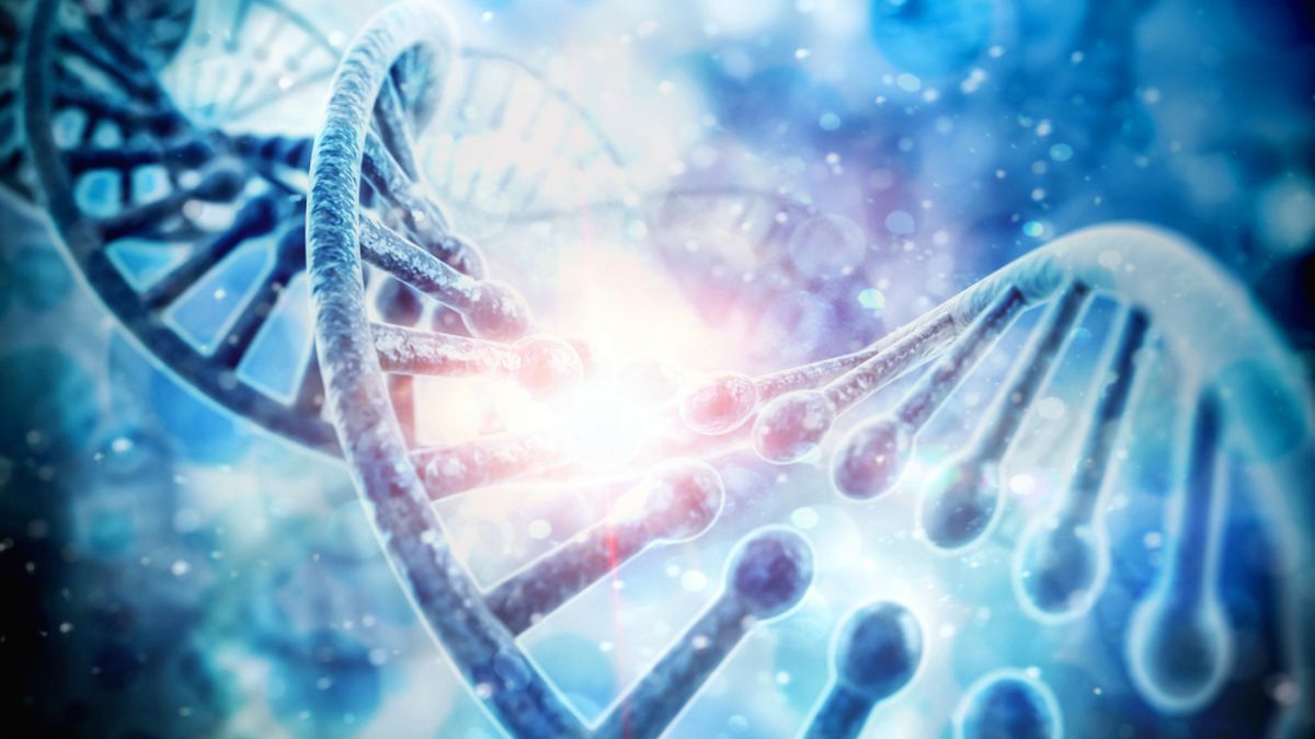 DNA: Struktur dan Fungsinya
