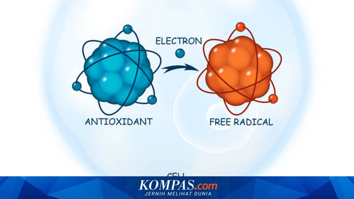 Apa yang Dimaksud dengan Antioksidan? Berikut Pengertian, Contoh, dan ...