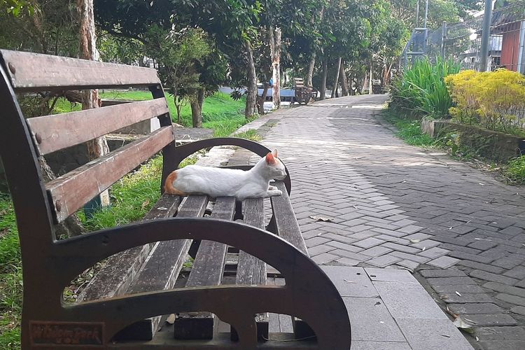 Berita Terkini Harian Ugm Residence Terbaru Hari Ini - Kompas.com