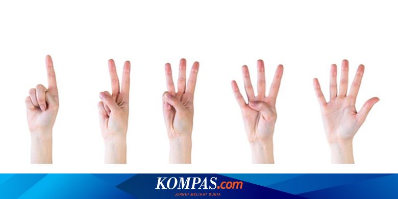 Kenapa Manusia Punya 5 Jari?