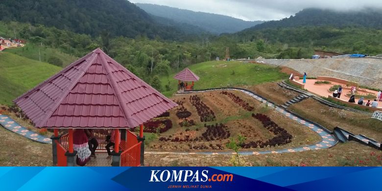 Kebun Raya Liwa di Lampung: Daya Tarik, Harga Tiket, dan Jam Buka