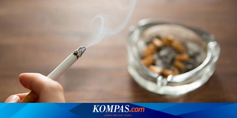 WHO: Jumlah Perokok di Seluruh Dunia Menurun