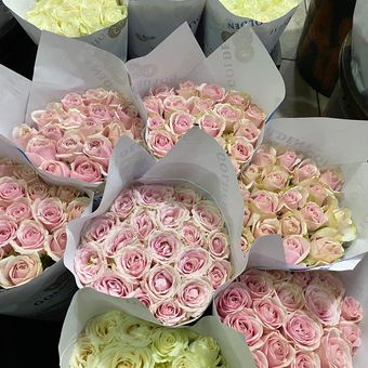 Berbelanja Bunga Murah di Pasar Bunga Rawa Belong, Cuma Rp30 Ribu