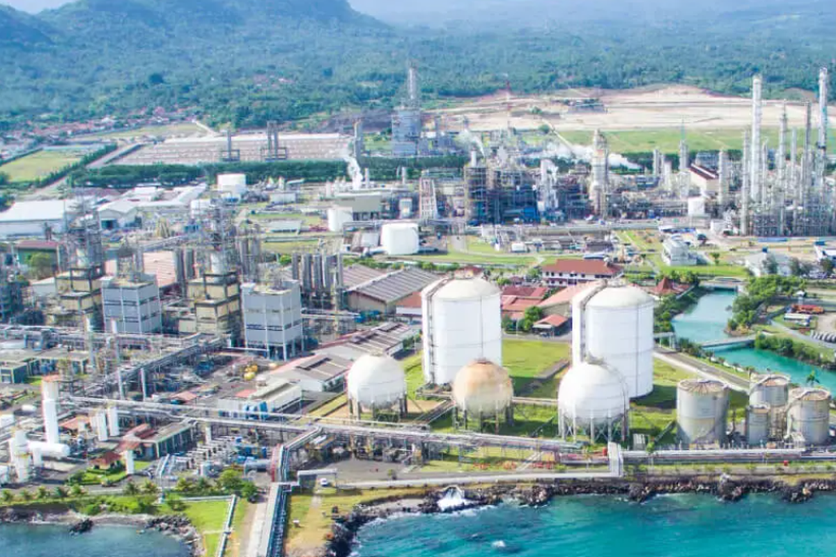 IPO CDIA: Strategi Besar Prajogo Pangestu di Balik Penawaran Saham Rp 2,37 Triliun