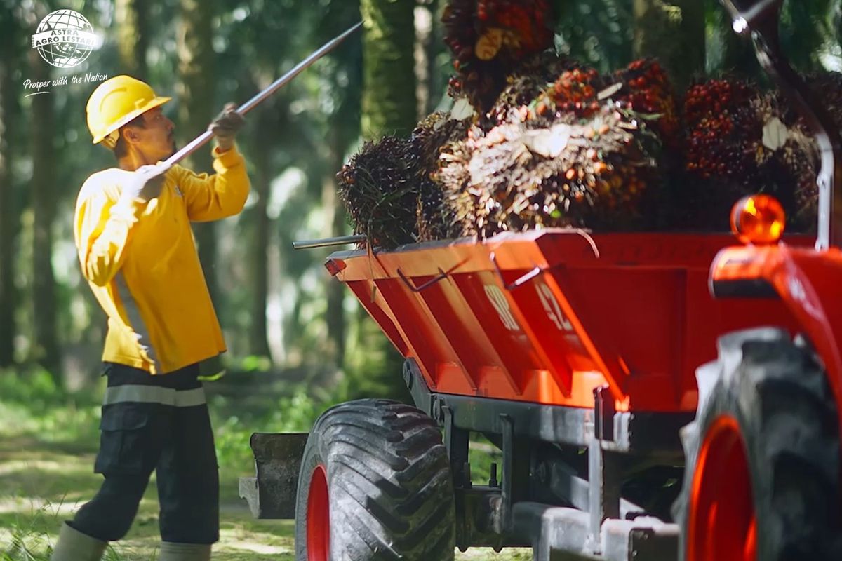 Laba Bersih Astra Agro Lestari (AALI) Melonjak 27,8 Persen pada 2025