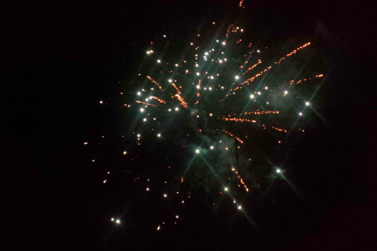 Ledakan Kembang Api di Pinggiran Taman Nasional Gunung Gede Pangrango ...