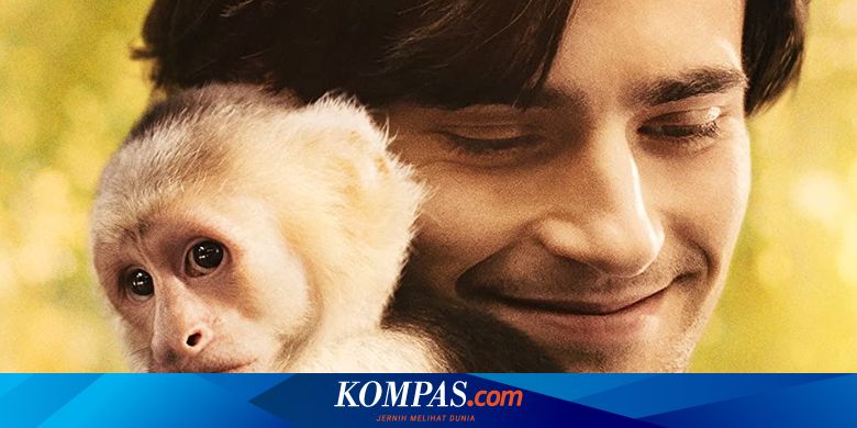 Sinopsis Film Gigi & Nate, Persahabatan Manusia dengan Monyet