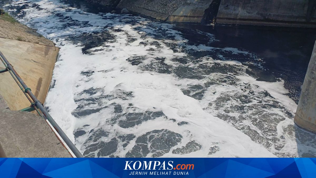 Kali Krukut Jakut Dipenuhi Busa Putih, Warga Sebut Muncul Tiap Hari di ...