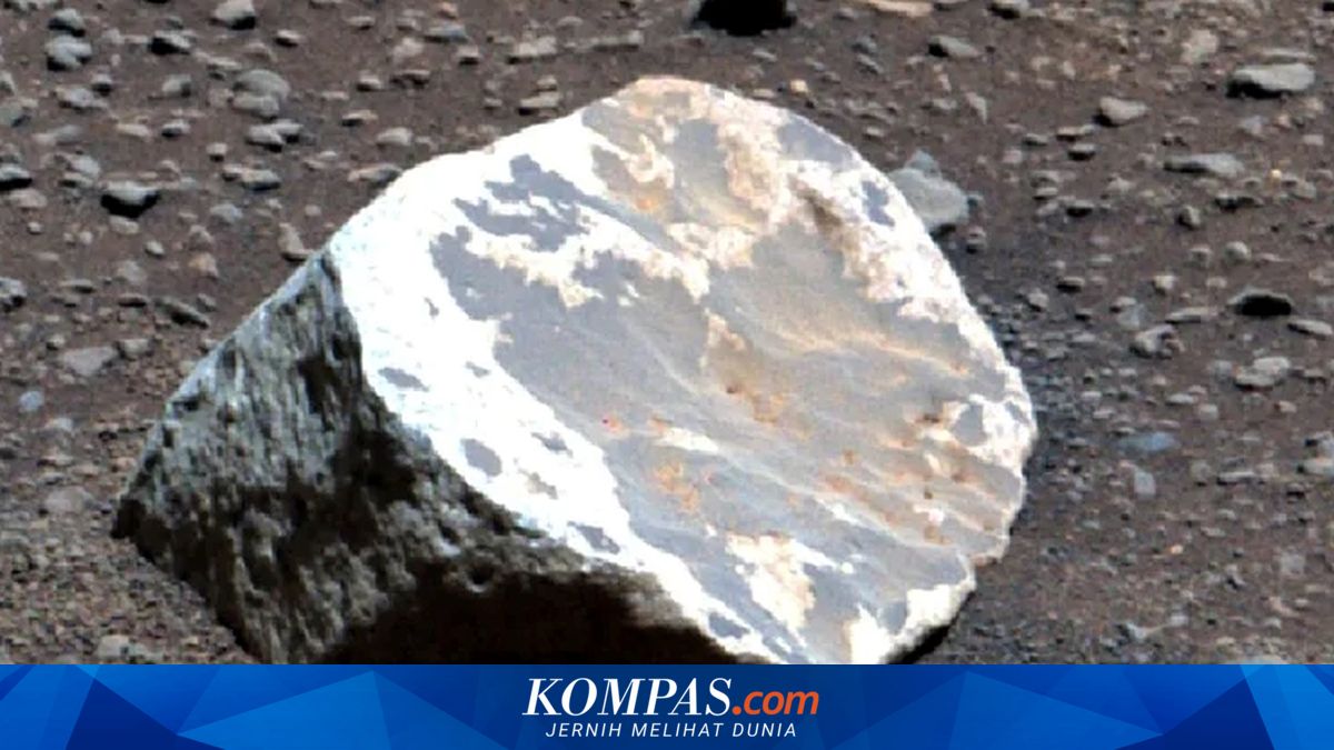 Batu Pucat Ungkap Jejak Bahwa Planet Mars Pernah Menyerupai Oasis