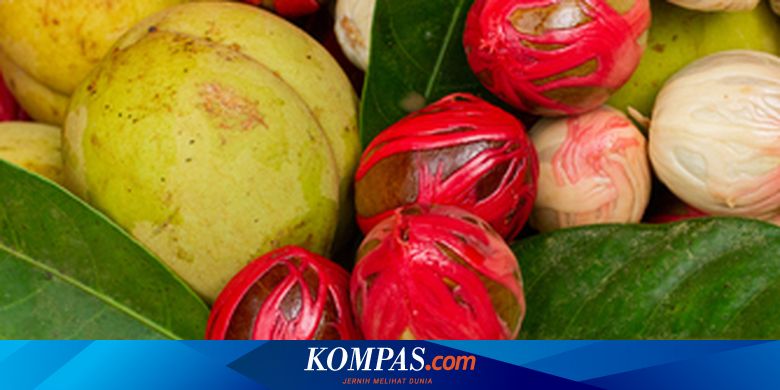 3 Manfaat Buah Pala untuk Kesehatan Menurut Dosen Polinef