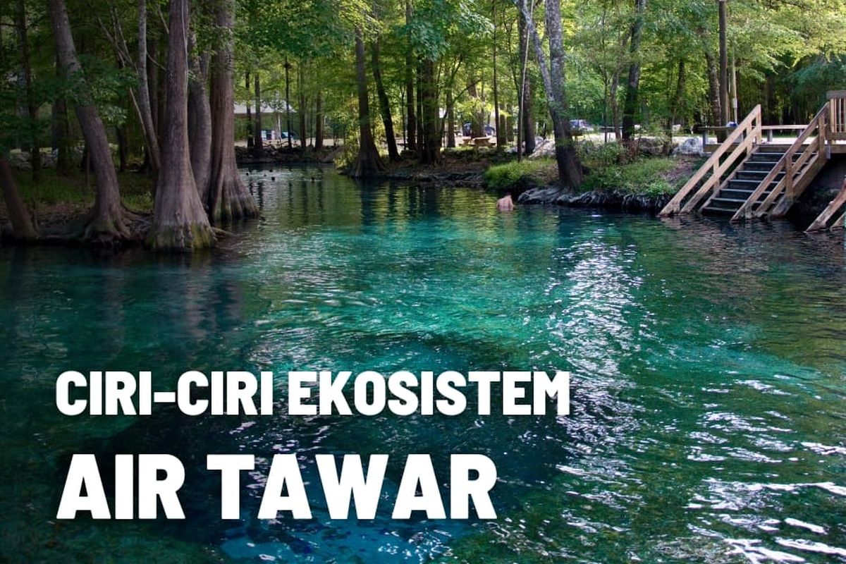 Pengertian Ekosistem Air Tawar beserta Ciri-cirinya