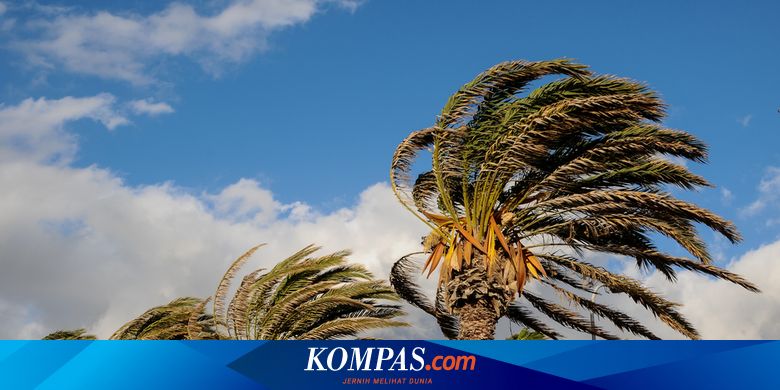 Bagaimana Proses Terjadinya Angin?