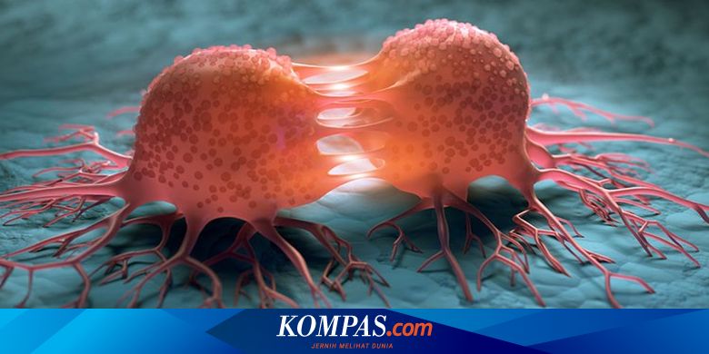 Tanda-tanda Kanker Prostat di Perut, Kenali Sebelum Terlambat