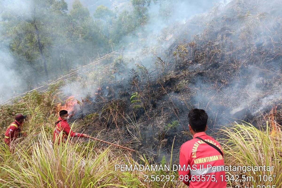 100 Hektare Hutan di Menara Pandang Tele Samosir Terbakar, Api Sampai ...