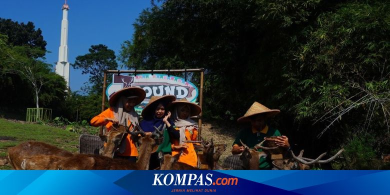 Jbound, Tempat Outbound dan Wisata Edukasi di Bogor - TrendRadars Indonesia