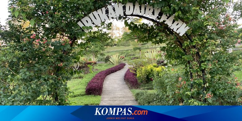 5 Tempat Wisata di Alahan Panjang, dari Danau hingga Peternakan Sapi Perah