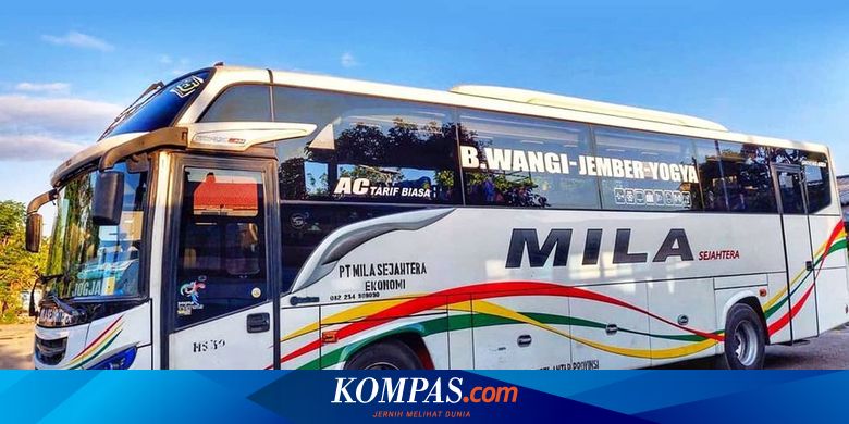 Apa Bedanya Bus Kelas Ekonomi dengan Patas?