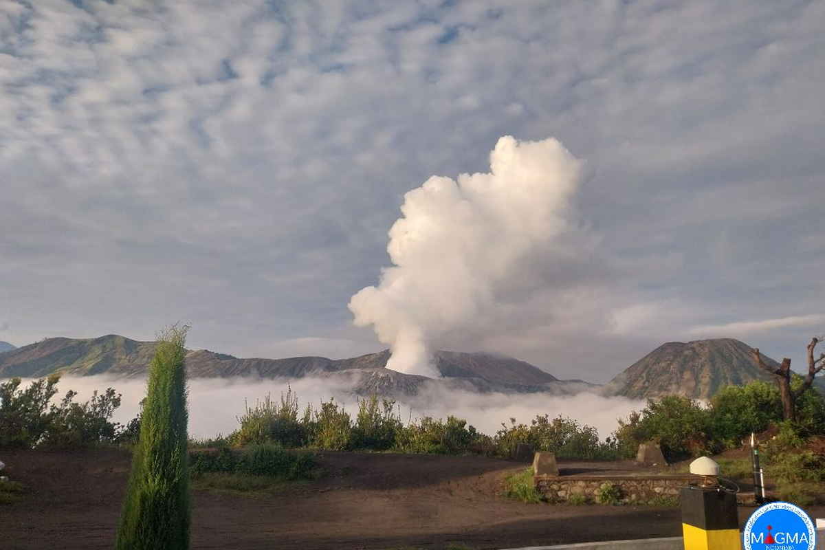 Gunung Bromo Semburkan Asap Putih Setinggi 700 Meter