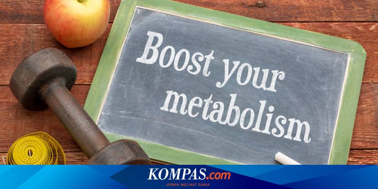 Pengertian Metabolisme dan Fungsinya bagi Tubuh Manusia