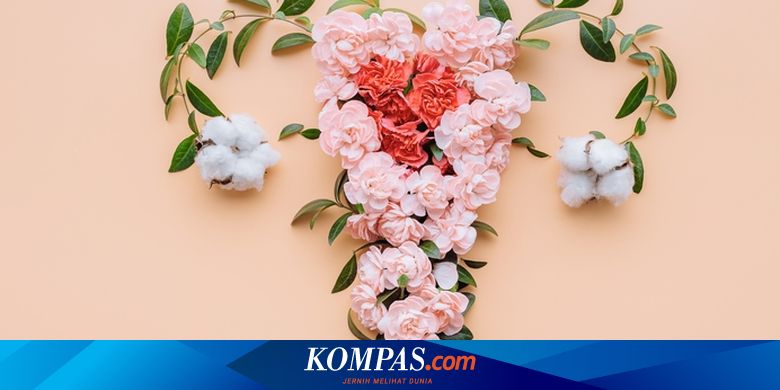 Mengenal Apa itu Klitoris pada Wanita, Fungsi, Bentuk, dan Letaknya