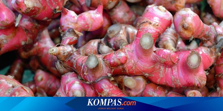 Jahe Merah: Khasiat, Saran Pengolahan, dan Cara Menyimpan
