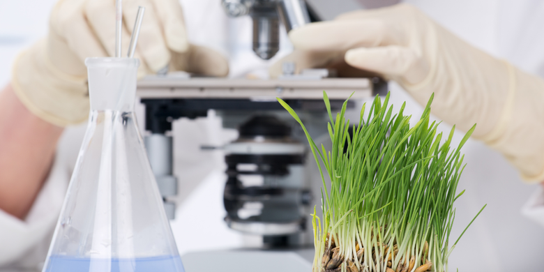 Manfaat Bioteknologi Konvensional, Ciri-ciri, dan Contohnya Manfaat Bioteknologi Konvensional, Ciri-ciri, dan Contohnya