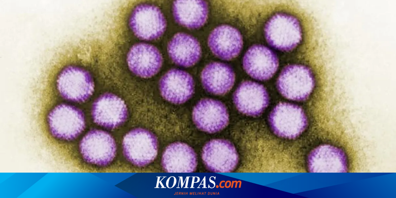 Tulang Manusia Purba Ungkap Infeksi Virus 50.000 Tahun Lalu