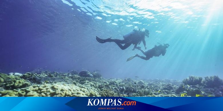 Kapan Waktu yang Tepat untuk Menyelam di Laut?