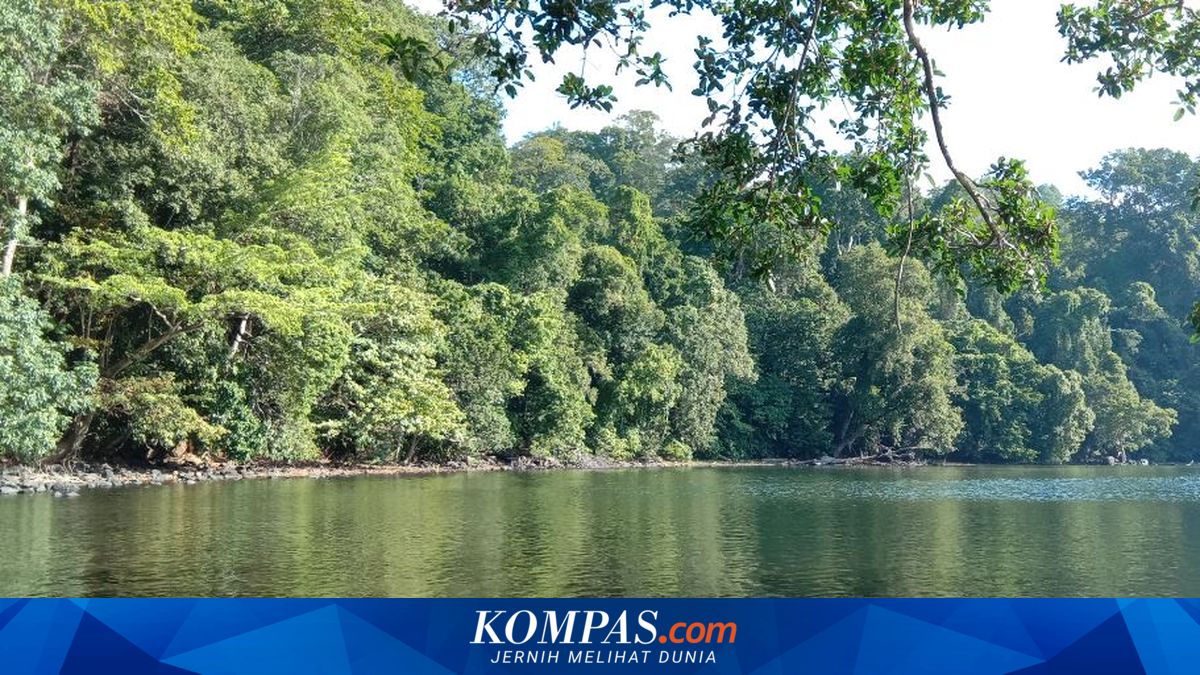 Danau Kastoba: Daya Tarik, Jalur Pendakian, dan Harga Tiket