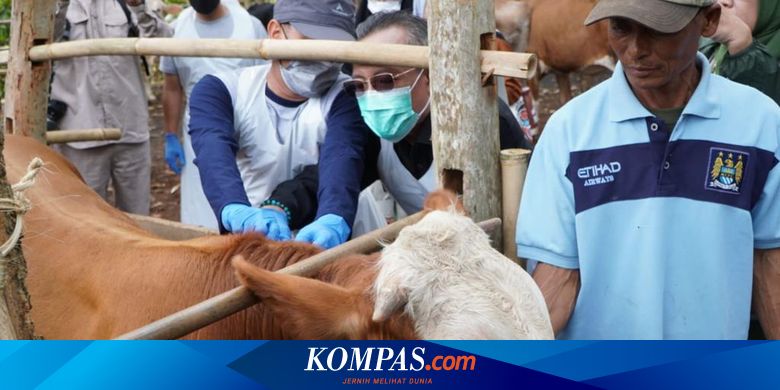 Strategi Kementan Kendalikan Antraks di Gunung Kidul