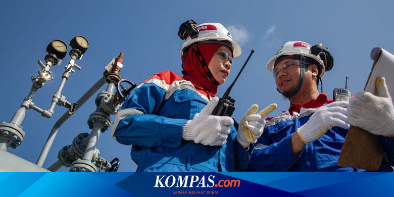 Perta-Samtan dan LPG Plant Gresik Jadi Ujung Tombak Pertamina Gas ...